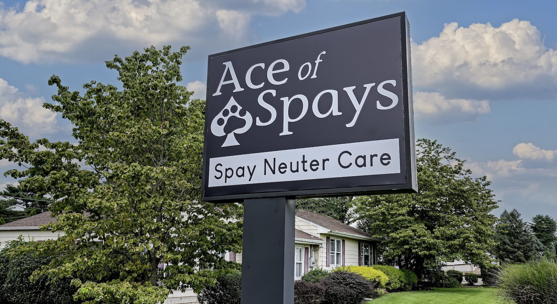 Ace of Spays | Trusted Leader in Spay Neuter Care: 20+ Yrs